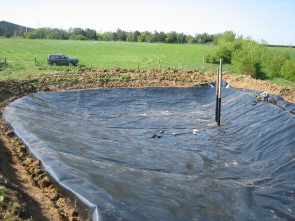 Pond Lining: Sustaining Water Containment for a Healthier Environment ...